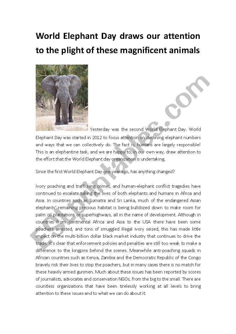 Reading - ´World Elephant Day´ - ESL worksheet by anibibibi