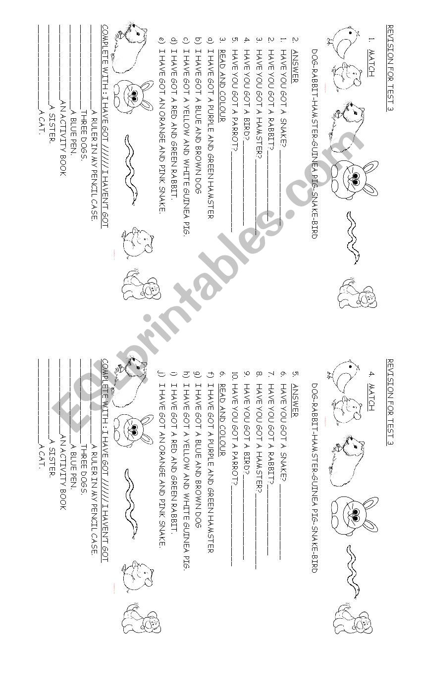 Animals have got haven´t got - ESL worksheet by claumar