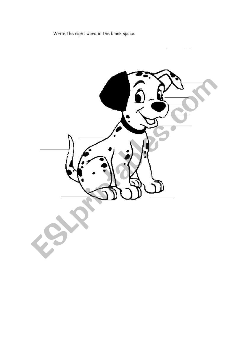 a puppy´s body - ESL worksheet by patsyduck