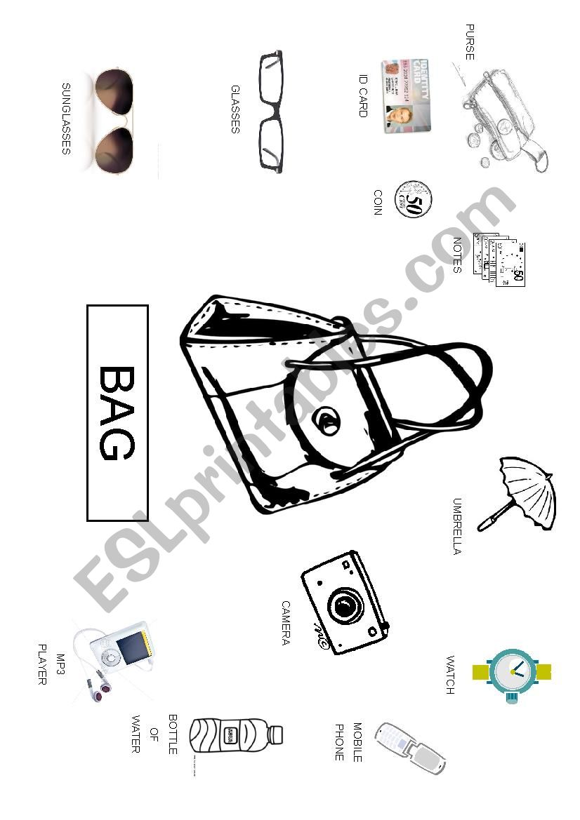 What´s there in your bag? - ESL worksheet by ncab92