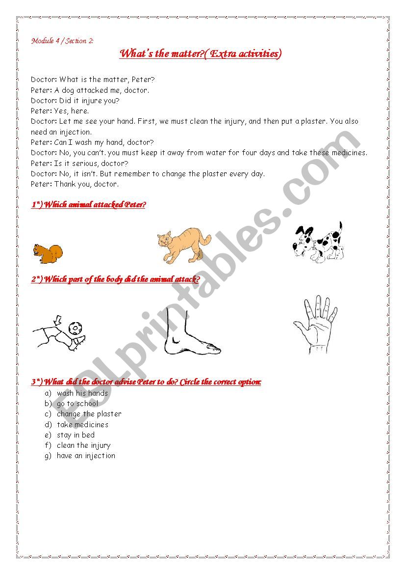 module 4 section 2 What´s the matter? - ESL worksheet by chiraze gmiza