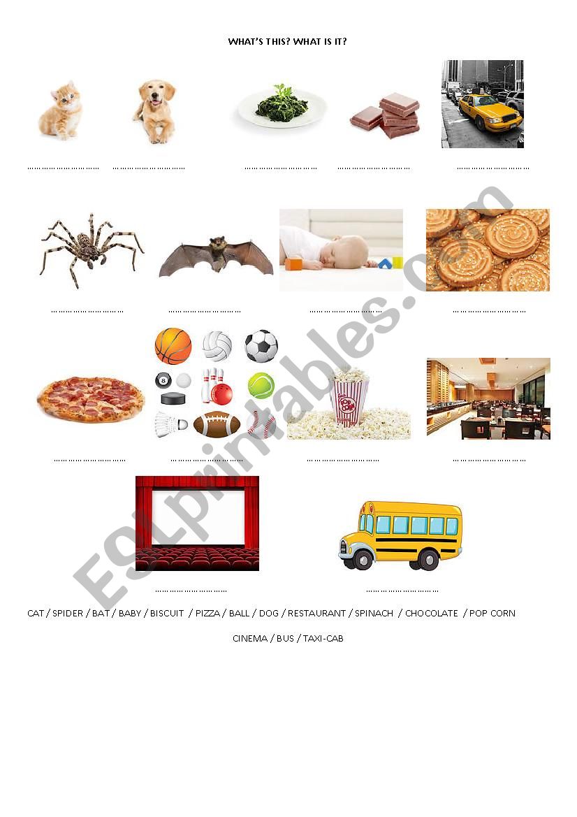 What´s this? What is it? - ESL worksheet by Célineesl