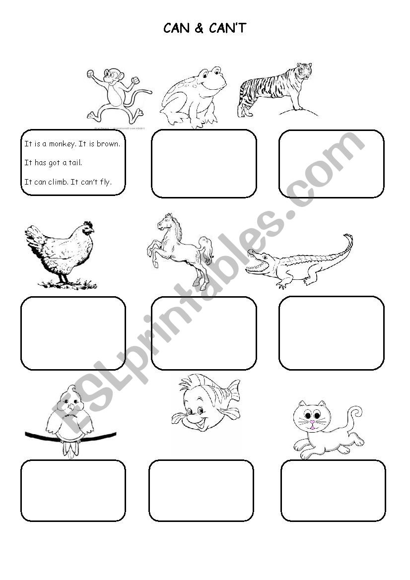 can & can´t (ability) - ESL worksheet by ece_ozdemir