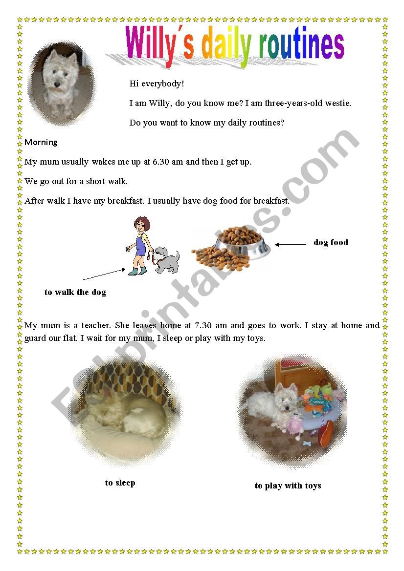 Willy´s daily routines - ESL worksheet by chansonierka