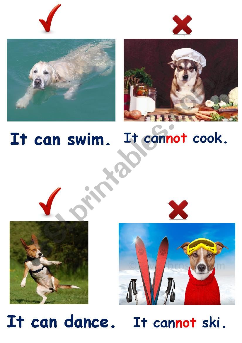 Dogs can / can´t 1 - ESL worksheet by babas