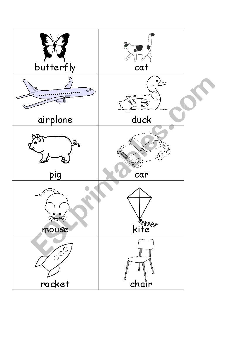 Can & Can´t fly sorting - ESL worksheet by rjplumb