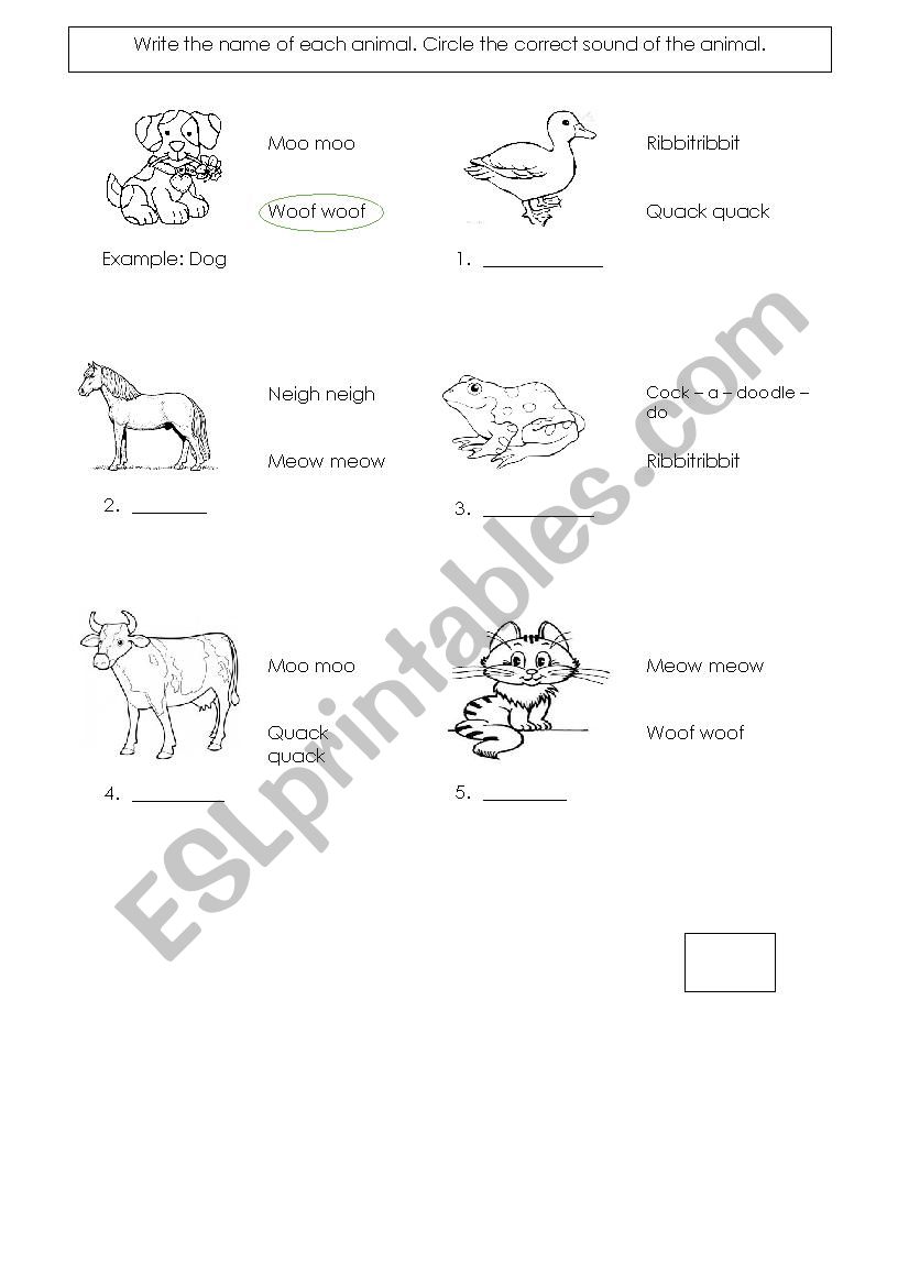 Pet´s World - Write and circle the correct answer - ESL worksheet by ...