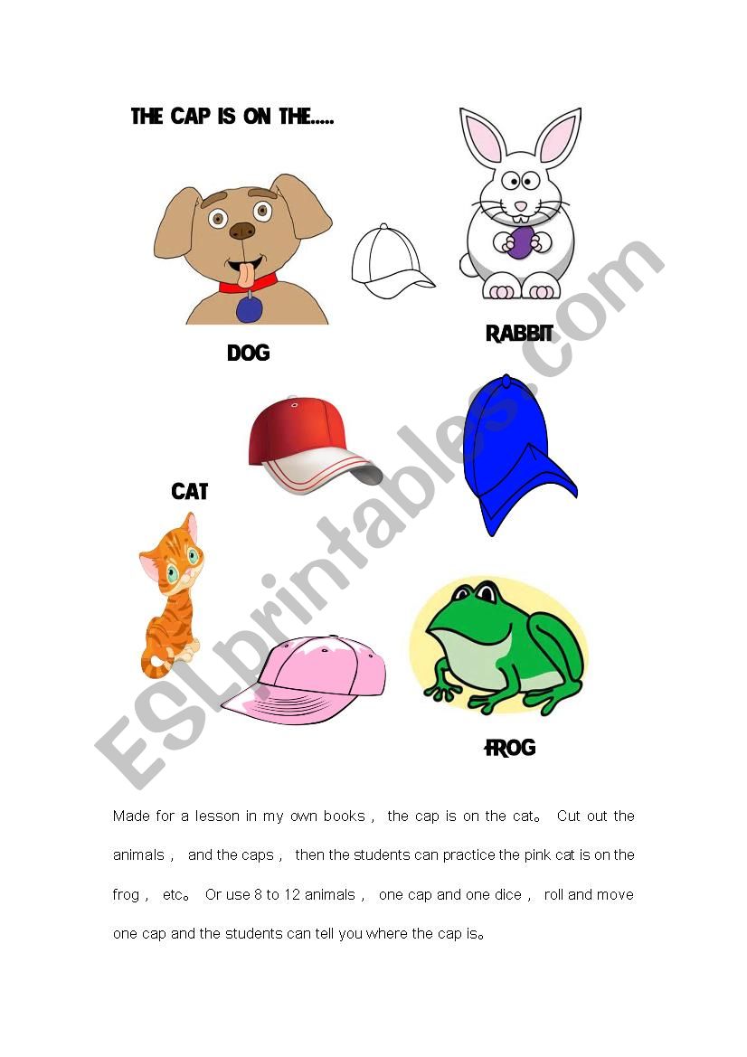 The cap is on the £¨animal£© - ESL worksheet by TenormanTears