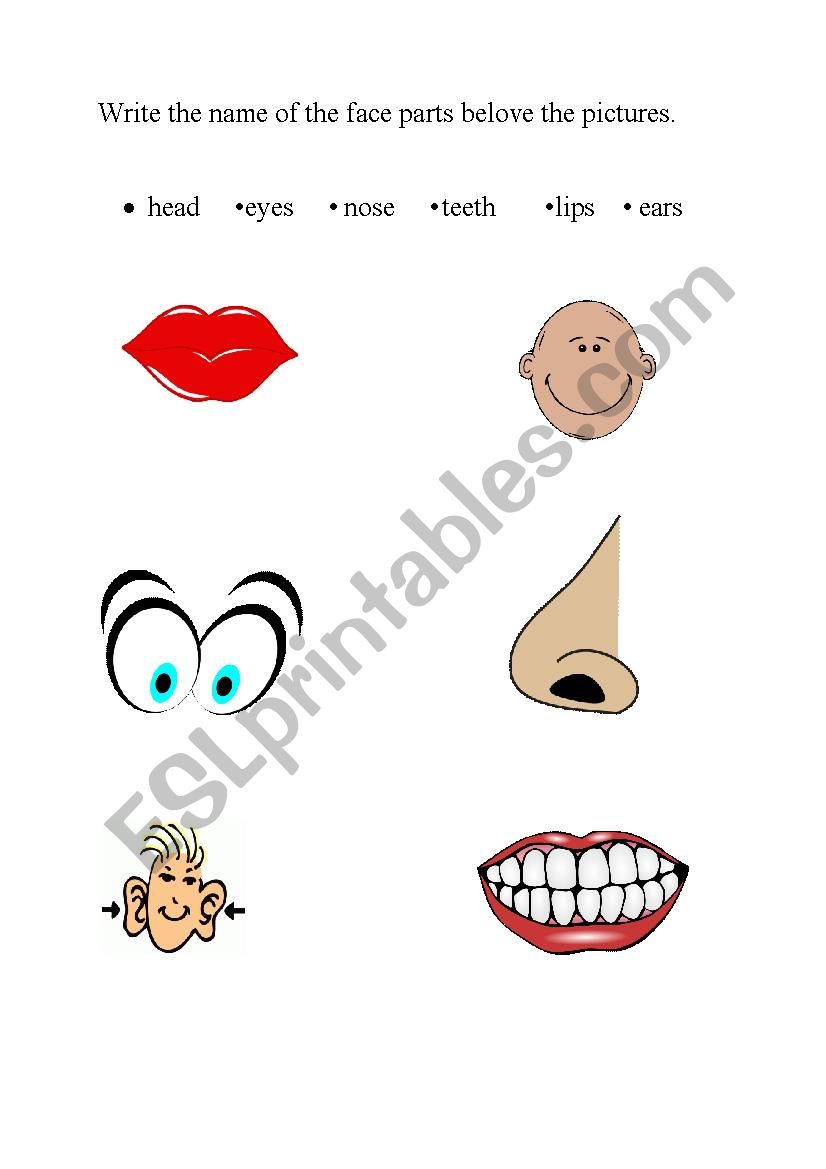 Parts of the Face - ESL worksheet by mrazovit