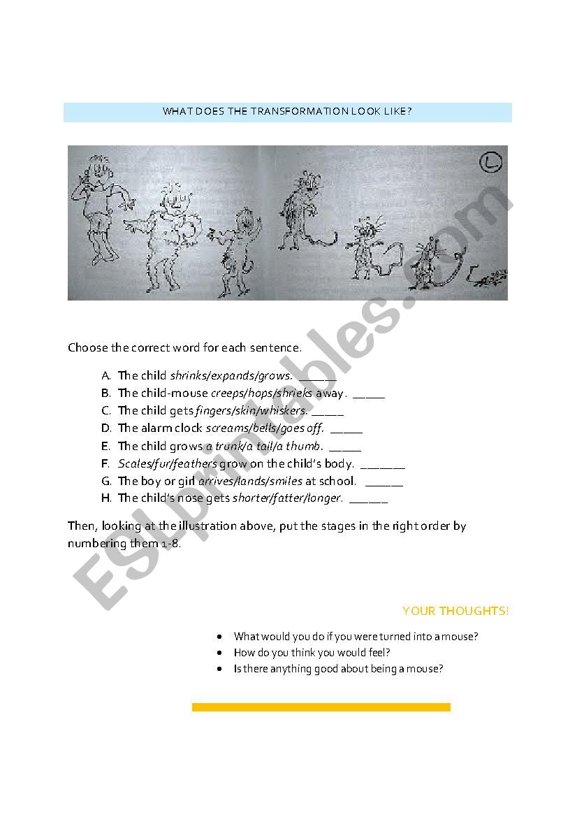 The Witches Mouse Transformation