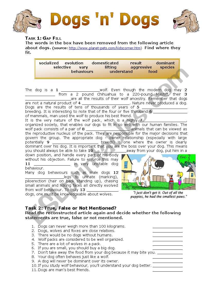 Dogs ´n´ Dogs - ESL worksheet by jujuka