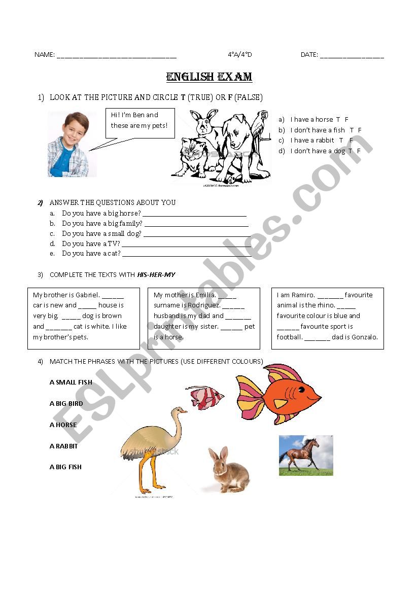 HAVE-DON´T HAVE - ESL worksheet by julieta1103