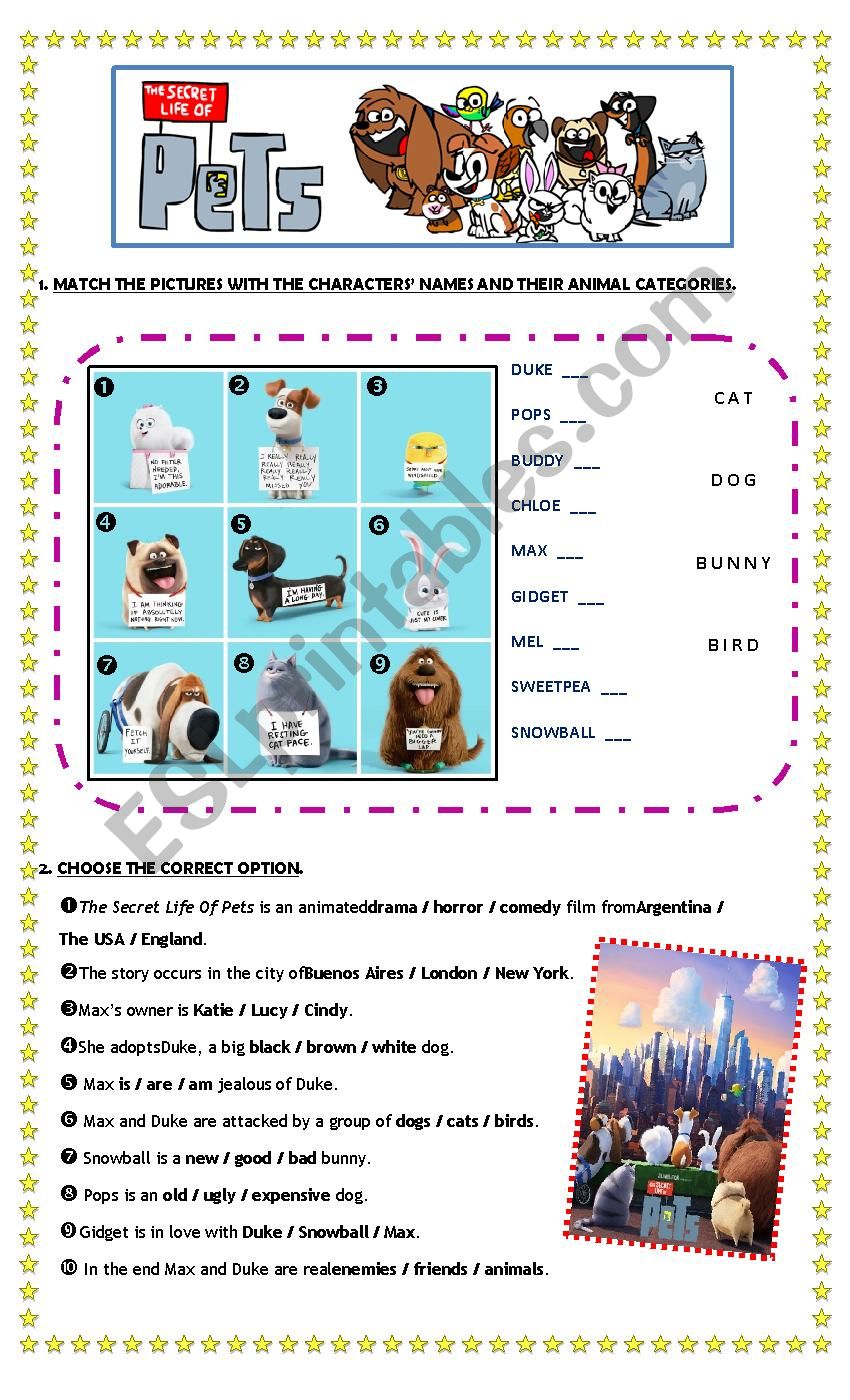 Film: ´The Secret Life Of Pets´ - ESL worksheet by roxmar
