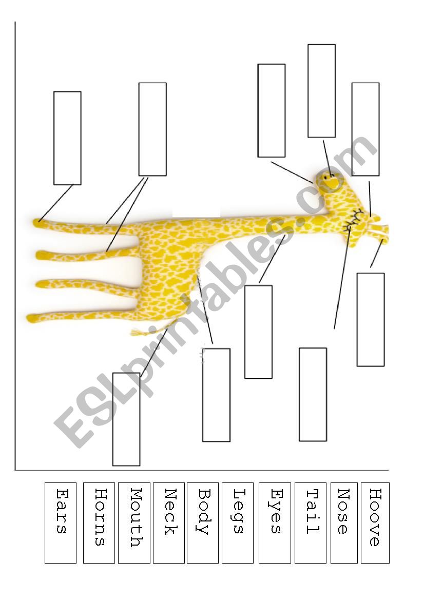 The giraffe can´t dance parts of the body - ESL worksheet by Adri37