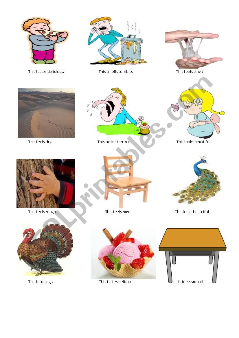 Senses ´´Our world´´book Snap - ESL worksheet by poli02