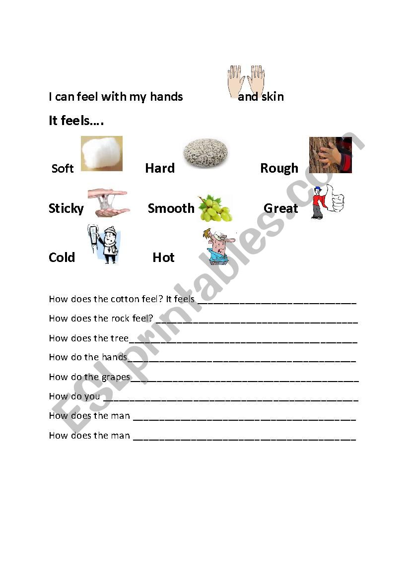 Senses Â´Â´Our worldÂ´Â´book - ESL worksheet by poli02