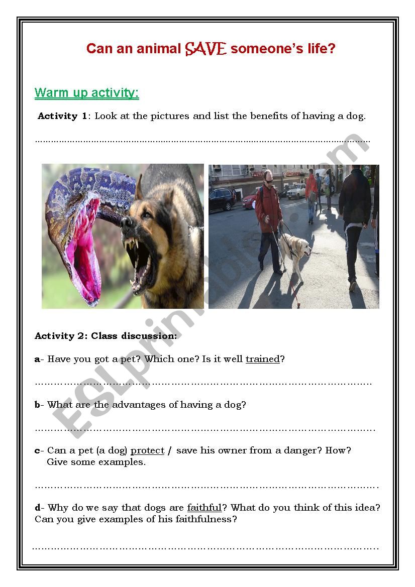 Animal´s story - ESL worksheet by Great Gatsby