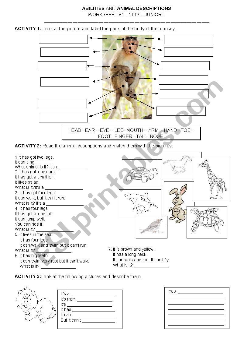 ANIMAL DESCRIPTION AND ABILITIES(CAN & CAN´T) - ESL worksheet by AndrewOwnl