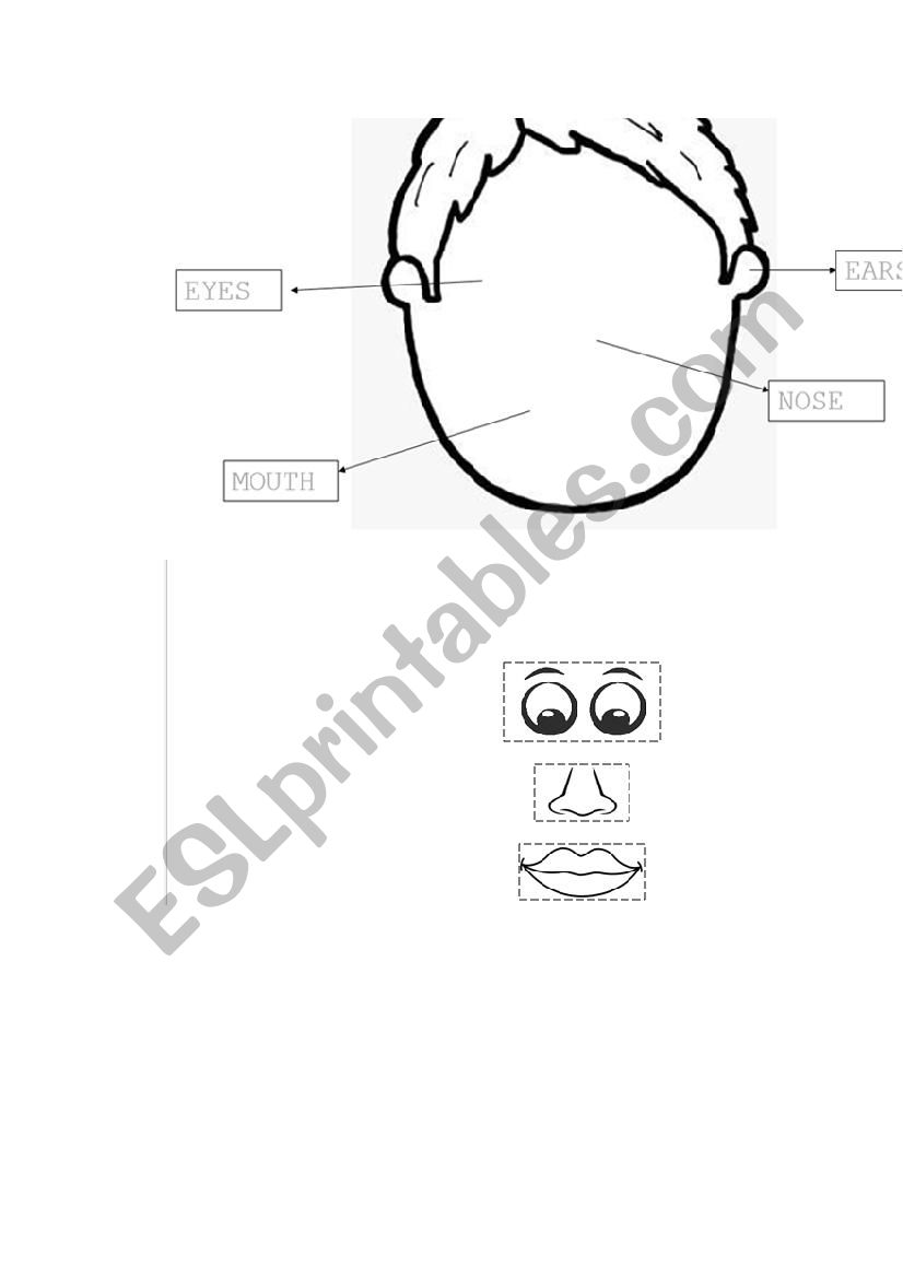 Parts of the face - ESL worksheet by Llallis68