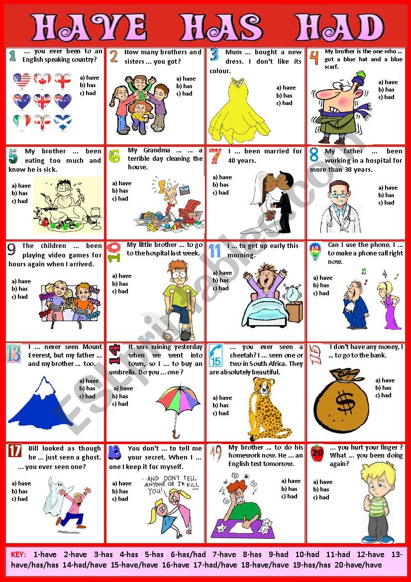 Esl Have Has Worksheet
