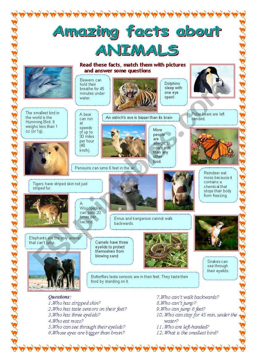 Amazing Facts About Animals 1 Part ESL Worksheet By Makol