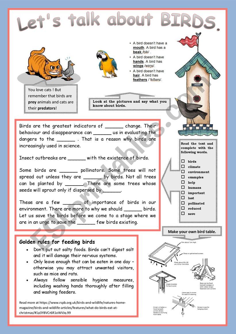 Let´s talk about BIRDS ! + Key ! - ESL worksheet by karagozian