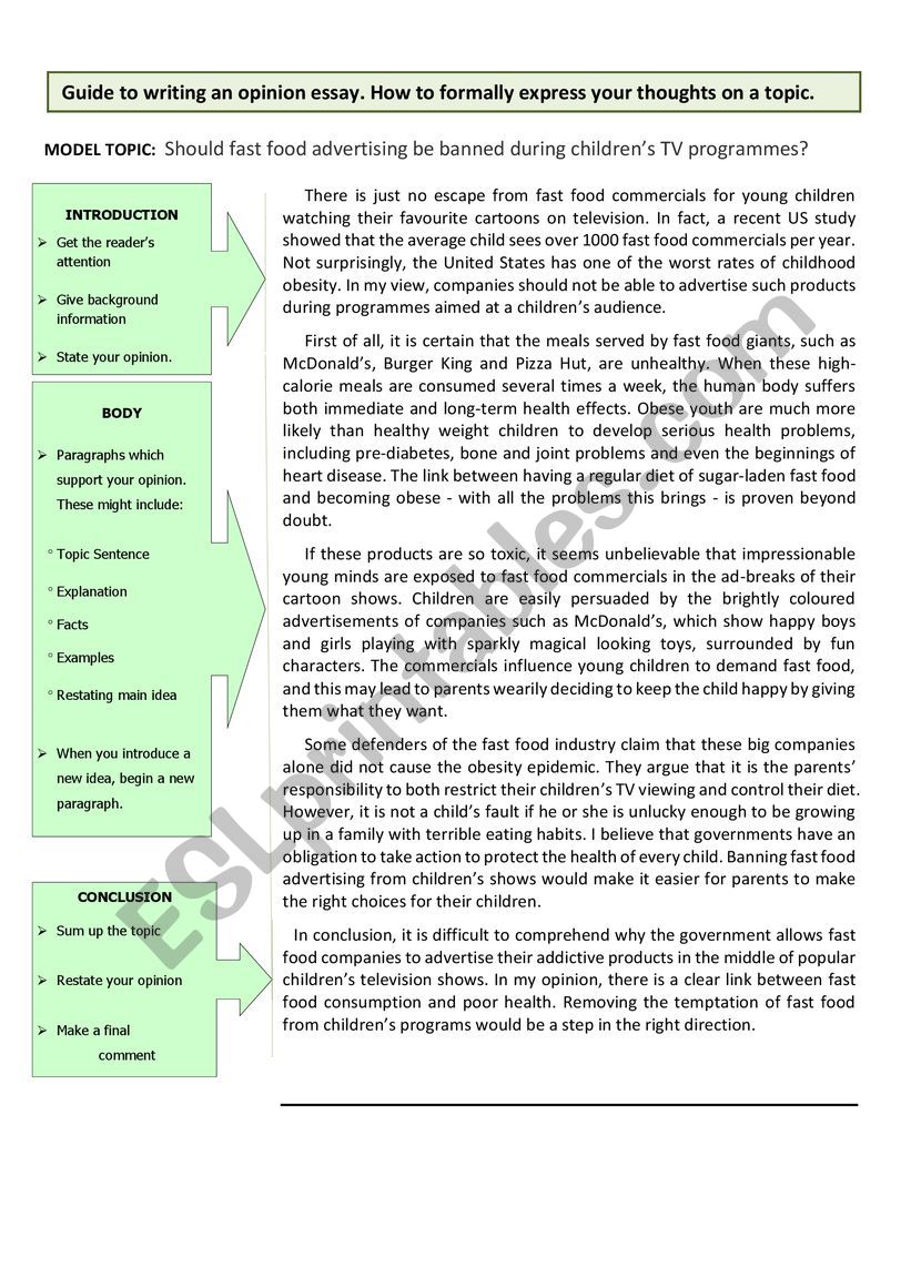 Guide To Writing An Opinion Essay ESL Worksheet By Laminator
