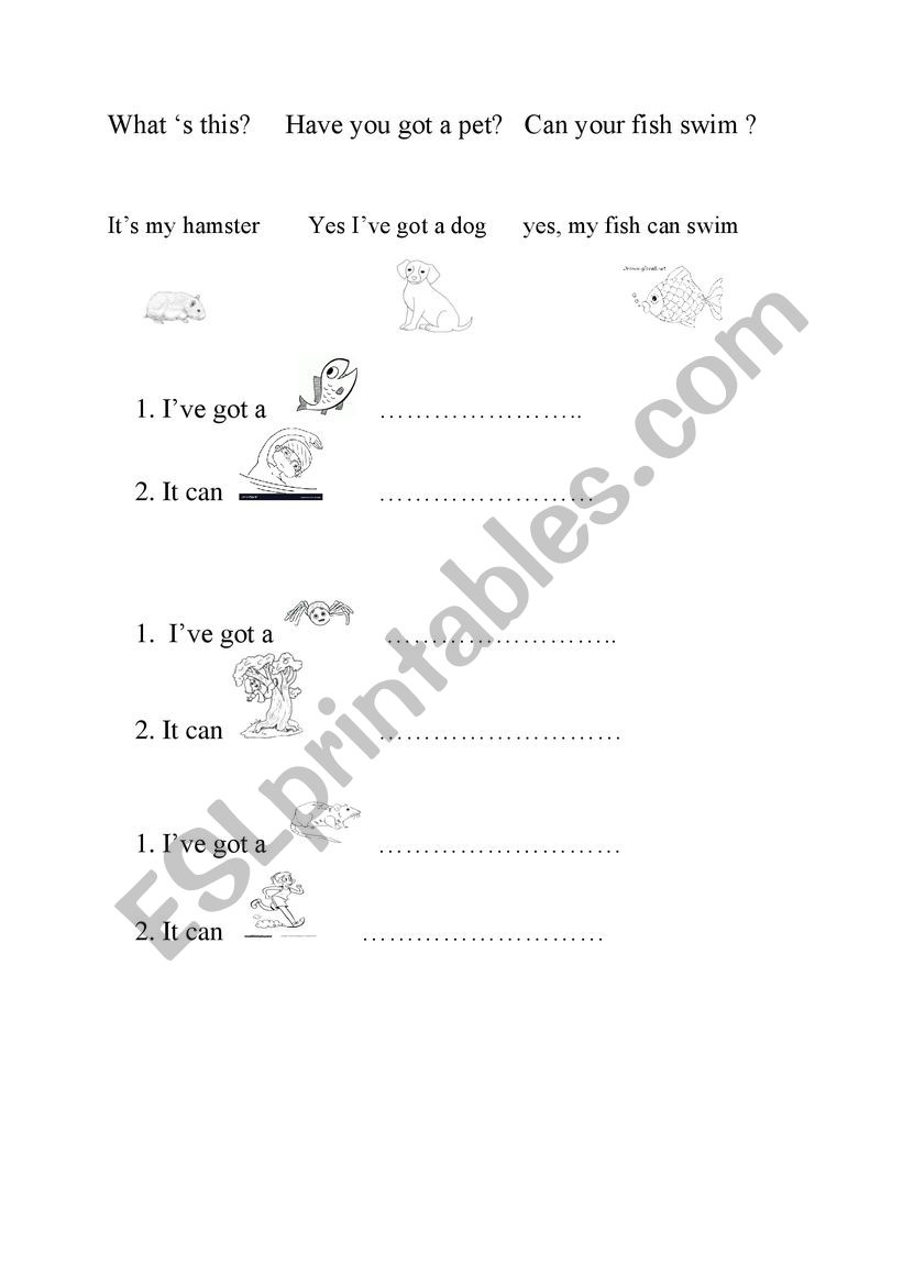 animals;I´ve got;It can - ESL worksheet by paulina12345