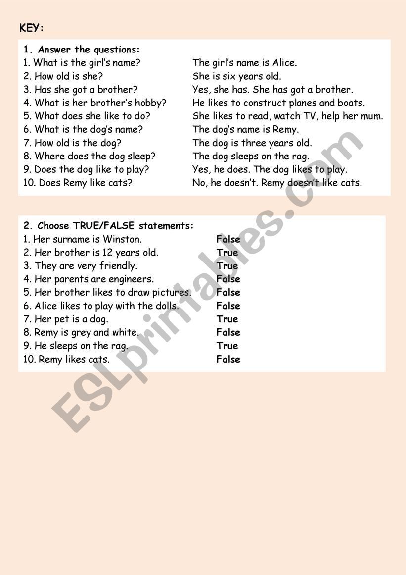 Why Should You Like Dogs