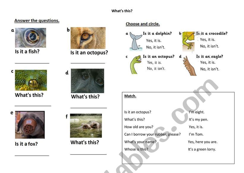 What´s this? - ESL worksheet by Visit2