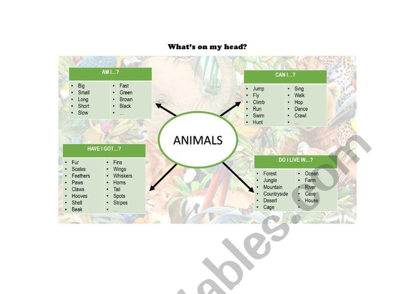 ANIMALS. What´s on my head? - ESL worksheet by sarisary