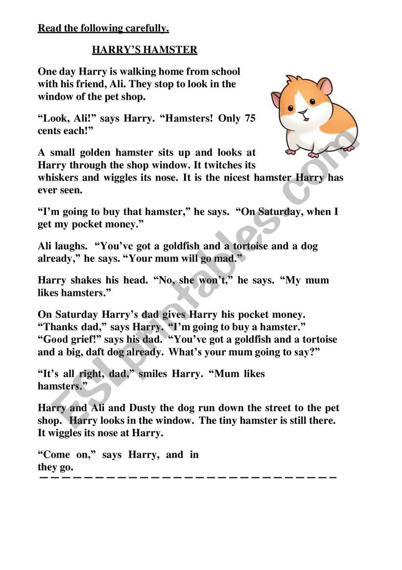 Reading Comprehension Harry S Hamster Esl Worksheet By Sanlane