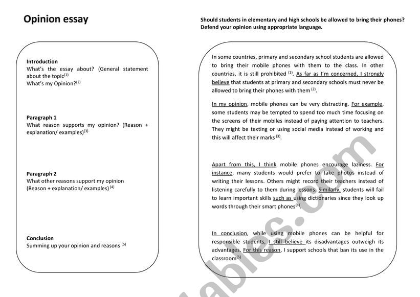 Opinion Essay Structure And Sample ESL Worksheet By Aws02