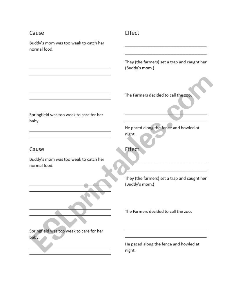 Cause and Effect questions to go with the book "Junior Buddy: a Jaguar ...