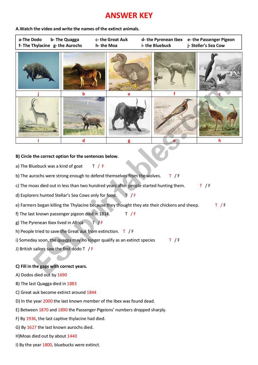 Extinct Animals Images With Names