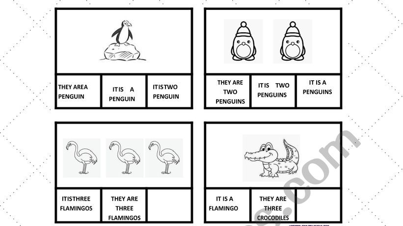 Read and choose - ESL worksheet by fbenitoc03 Read and choose - ESL worksheet by fbenitoc03