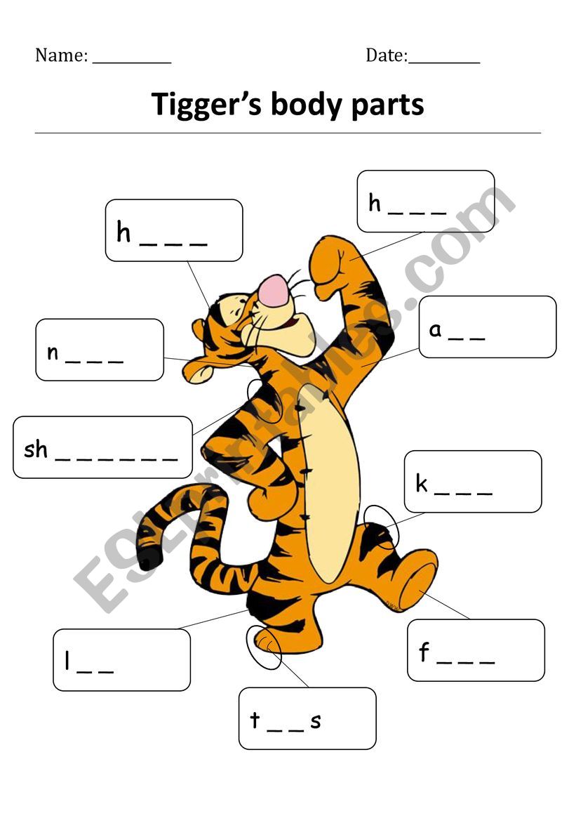 Tigger´s body parts - ESL worksheet by agneschao