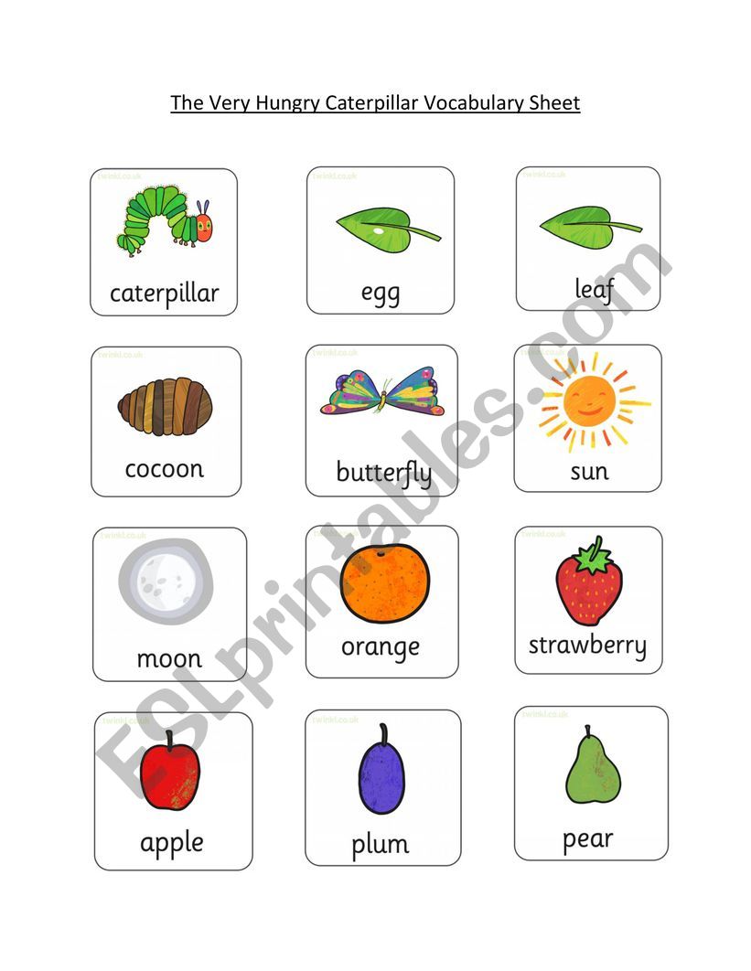 The Very Hungry Caterpillar Vocab Sheet - ESL worksheet by Eisha