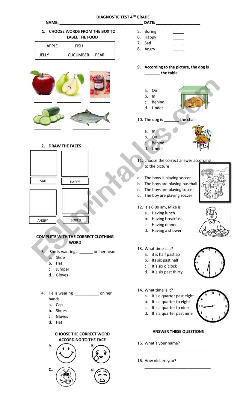 Diagnostic Test 3rd Grade ESL Worksheet By Deporcali