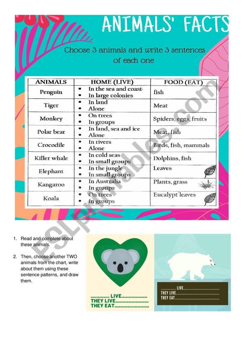 Animals´ Facts - ESL worksheet by guadastbt
