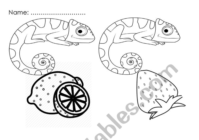 A Color Of His Own Chameleon Coloring Page