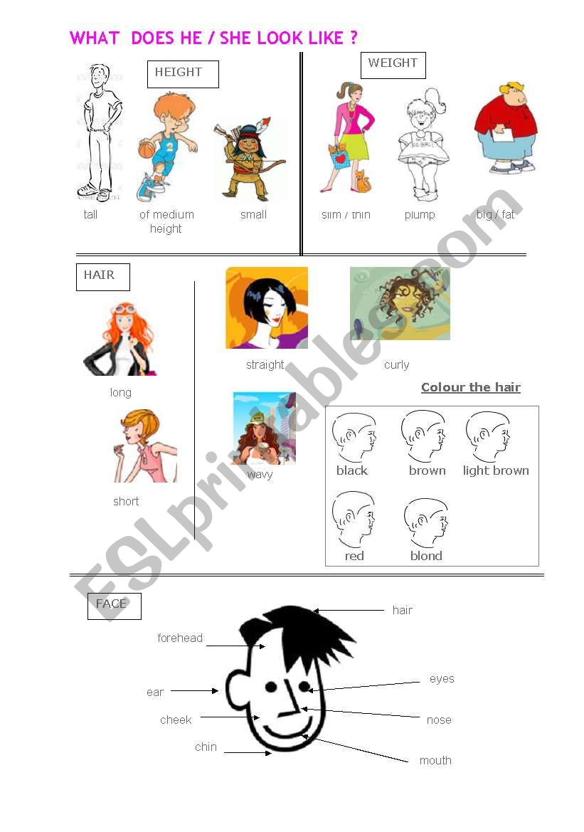 What does he look like ? - ESL worksheet by Minie What does he look like ? - ESL worksheet by Minie