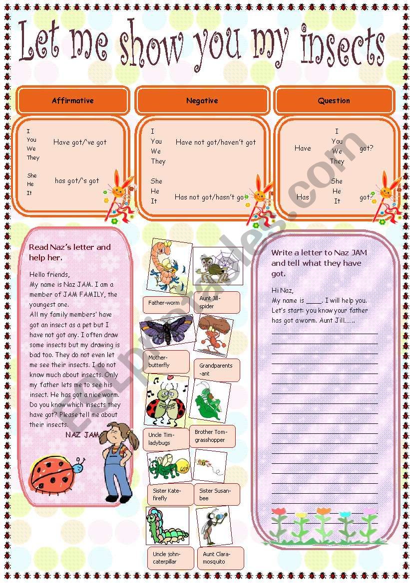 let me show you my insects.(four skills) jam family´ s insect ...